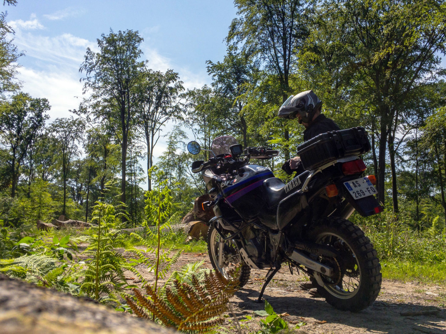 Test des pneus Michelin Anakee Adventure : le meilleur pneu 20% offroad ...